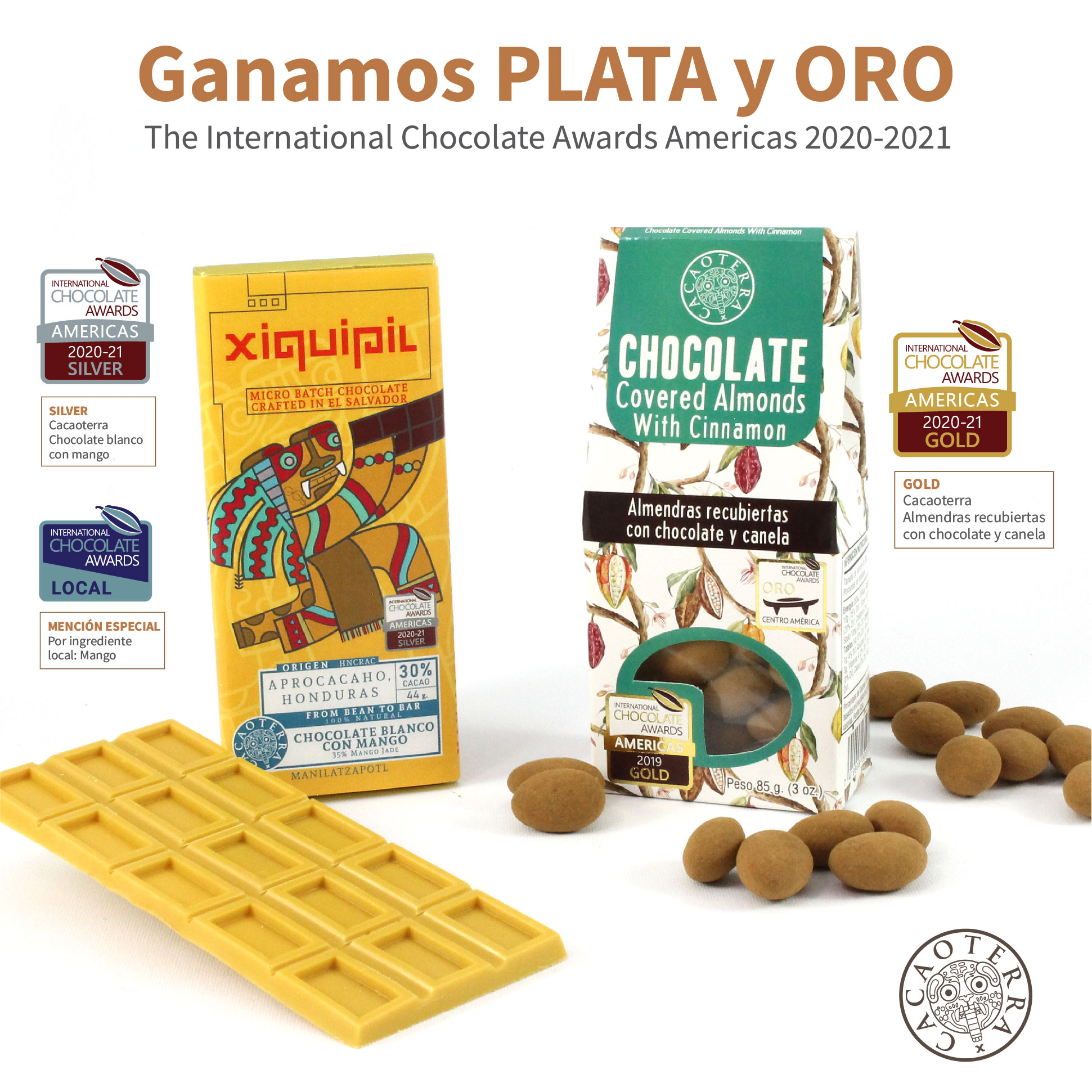 ICA Americas 2020-2021 - Pagina Web de Shaw´s Vie, 26/03/2021