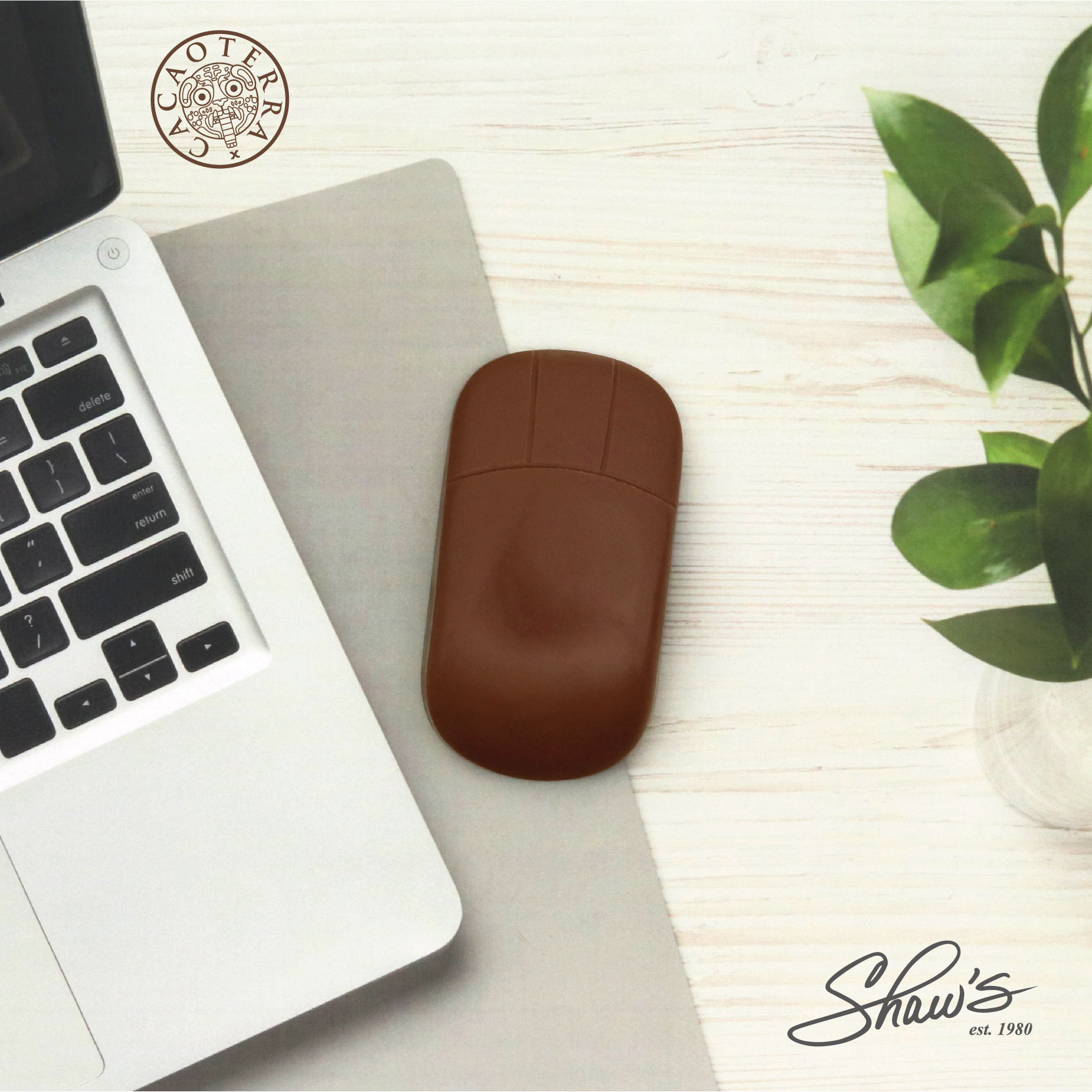 Mouse de Chocolate - Pagina Web de Shaw´s