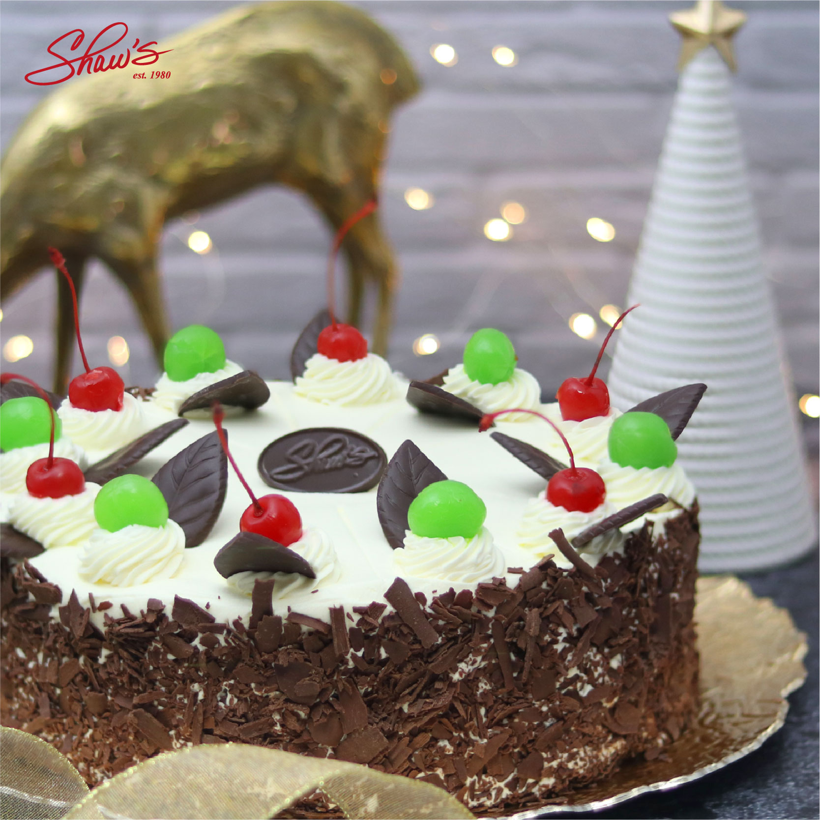 Angelitos de Chocolate - Shaw's - Pagina Web de Shaw´s