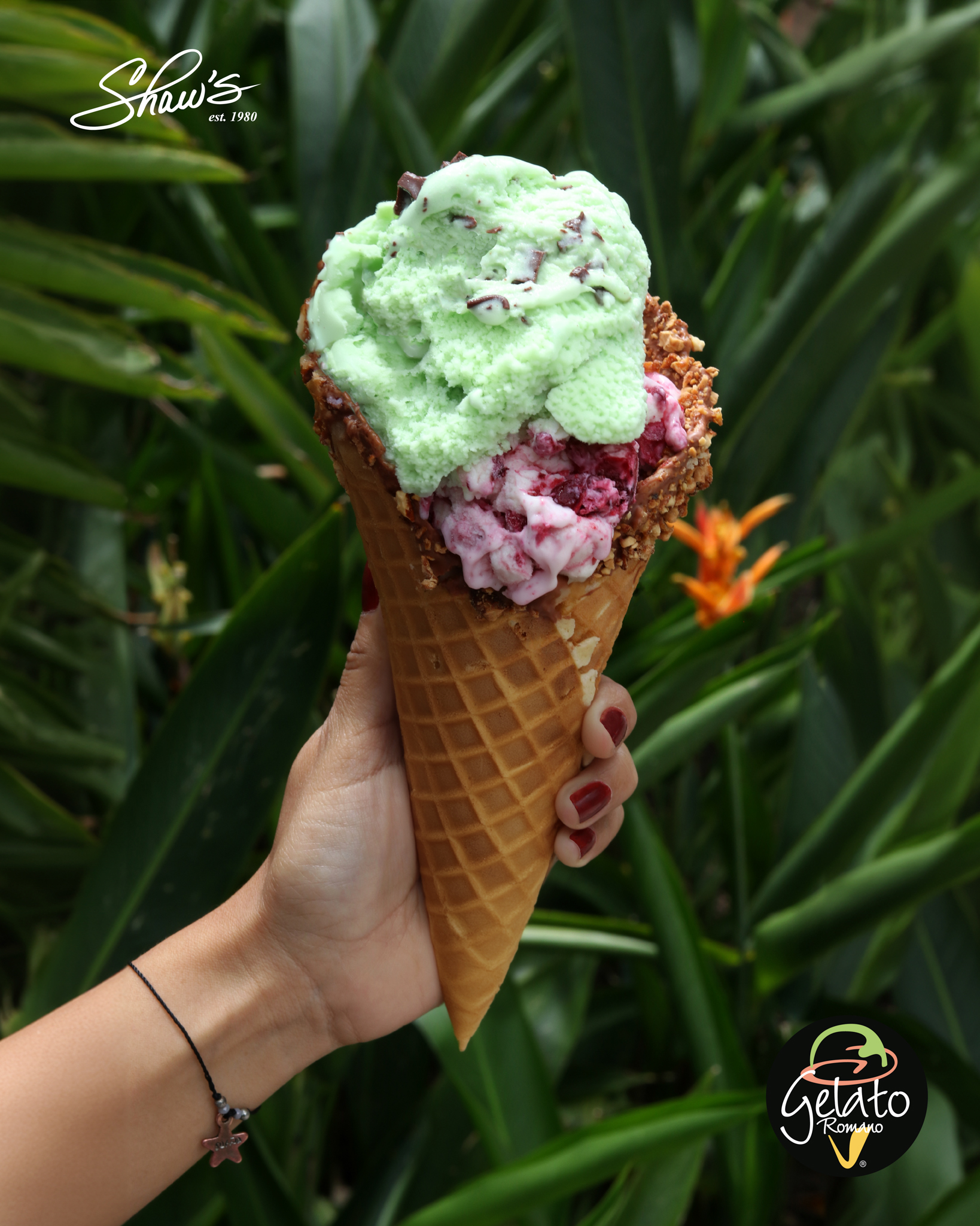 Gelato Romano - Menta Chip / Yogurt Frutas del Bosque - Pagina Web de ...
